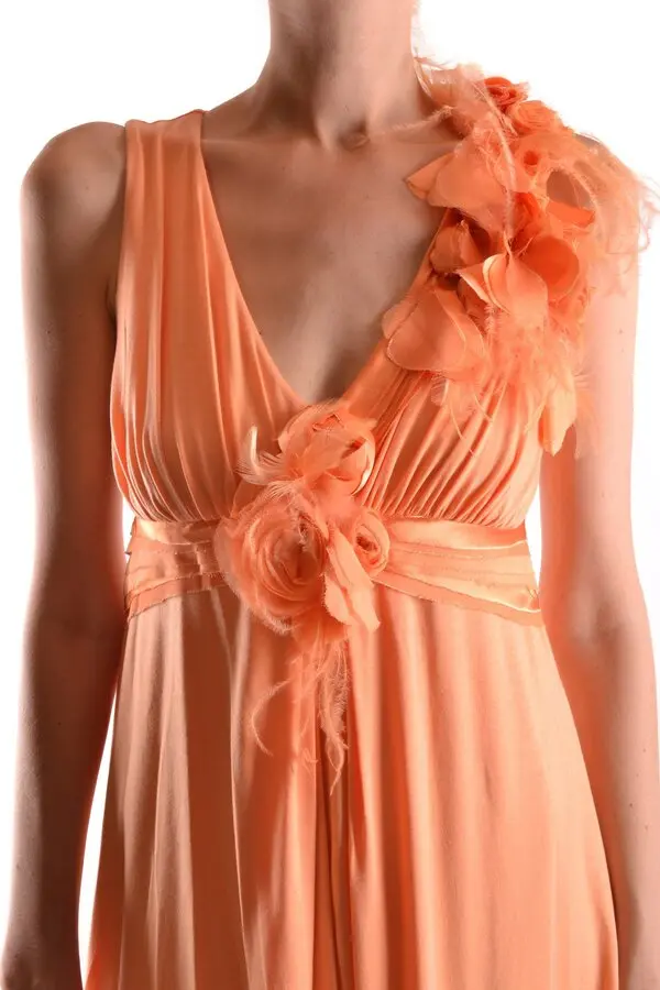 Elisabetta Franchi Dress
