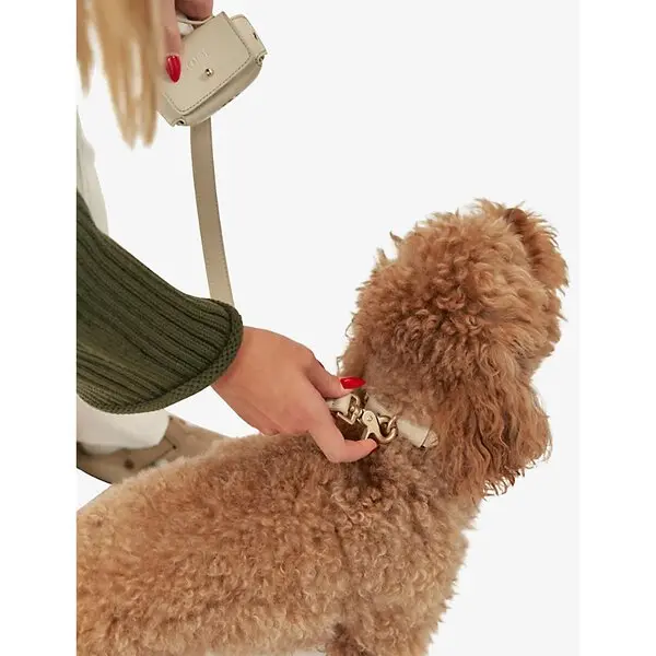 CAFIDE Jala Mult-position Vegan-leather Dog Leash