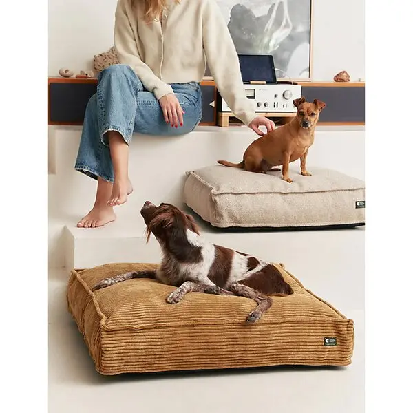 CAFIDE Cuadra Corduroy Dog Bed