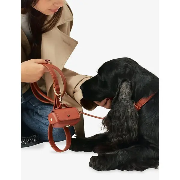 CAFIDE Vegan Leather Dog Collar