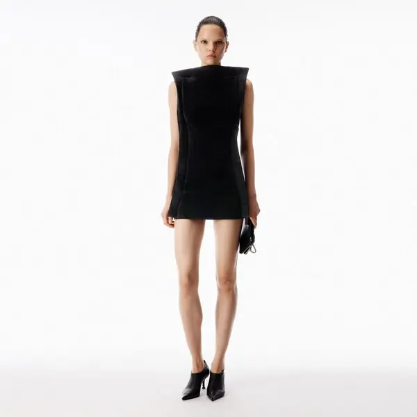 Alexander Wang Sleeveless Mini Dress