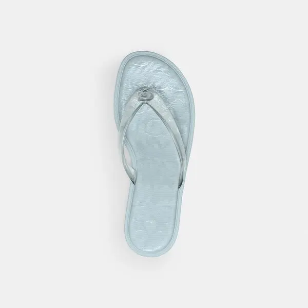 COACH Jelly Thong Sandal In Signature - Sea Mist