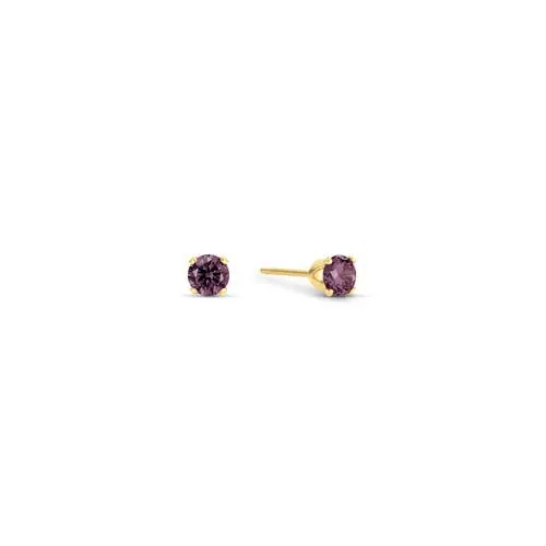 SET & STONES Stud Earrings - Gold/february