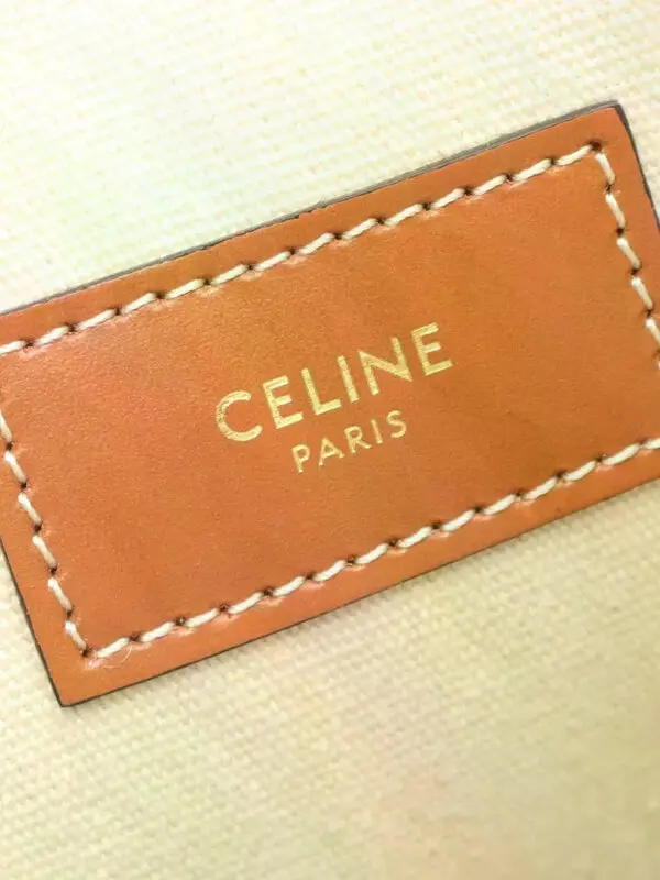 Celine 2023 Triomphe Coated Canvas Museum Tall Shopper Tote Bag