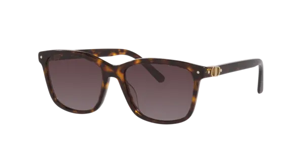 Dior Sunglasses - Brown Gradient