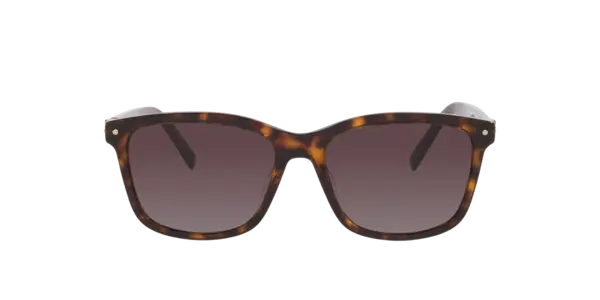 Dior Sunglasses - Brown Gradient