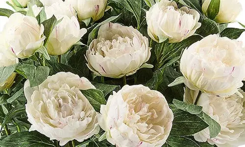 MACKENZIE-CHILDS Peony Urn Filler