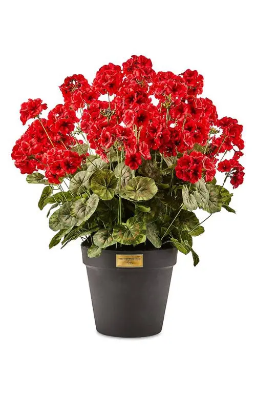 MACKENZIE-CHILDS Geranium Urn Filler - Red