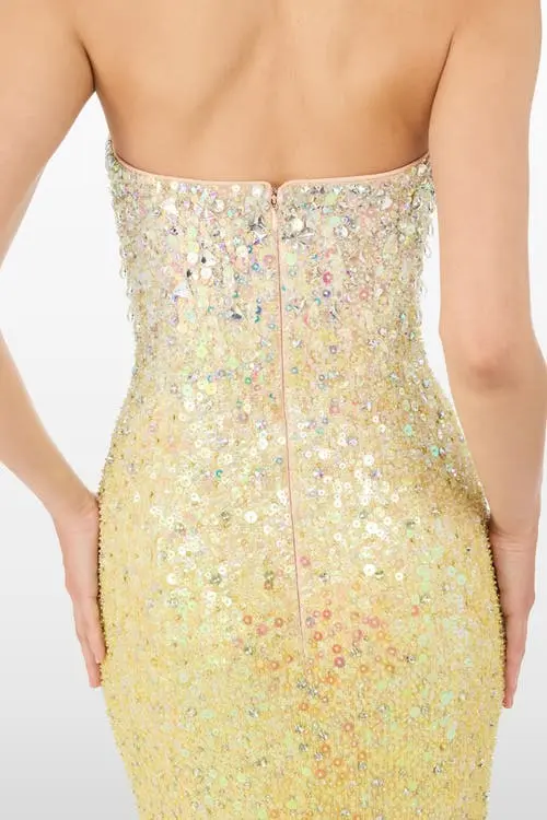 Jenny Packham Marle Saint Sequin Embellished Strapless Maxi Dress - Illusion