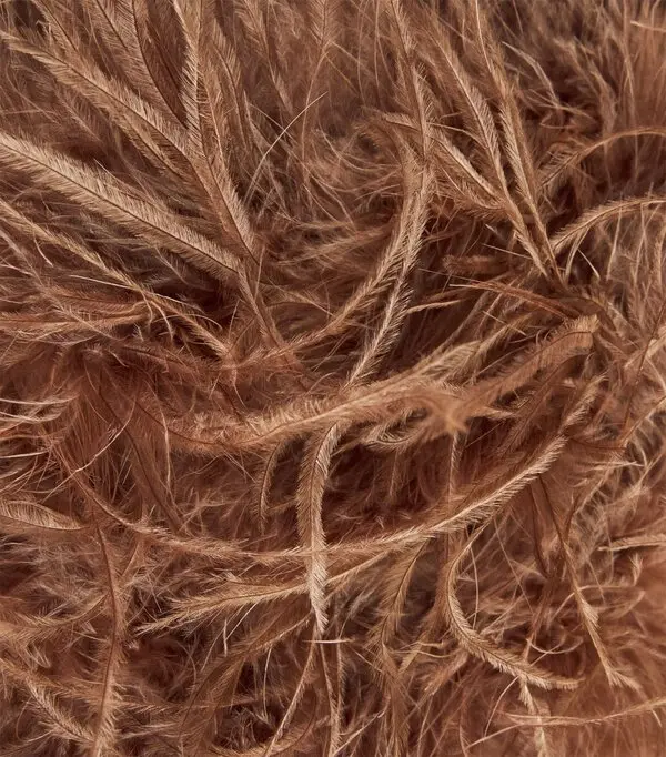 YVES SALOMON Leather Cross-body Bag With Ostrich Feathers