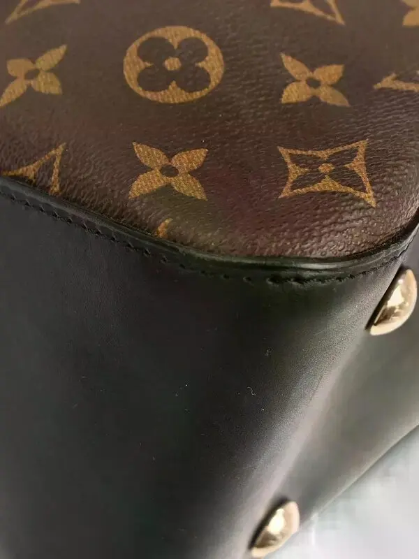LOUIS VUITTON 2012 Macassar Davis Monogram Tote Bag