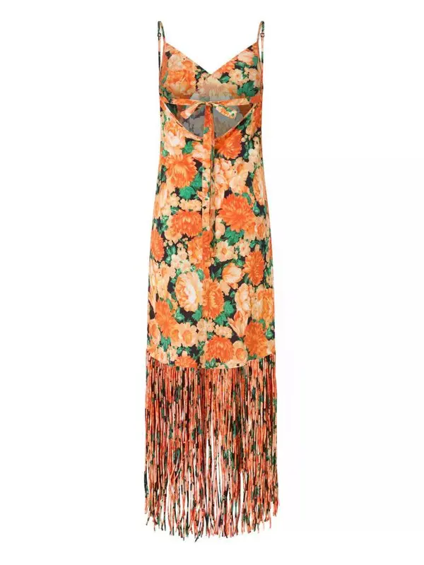 Pinko Botanic Garden Floral Fringe Dress