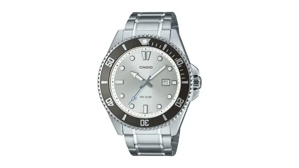 Casio Standard Watch - Stainless Steel