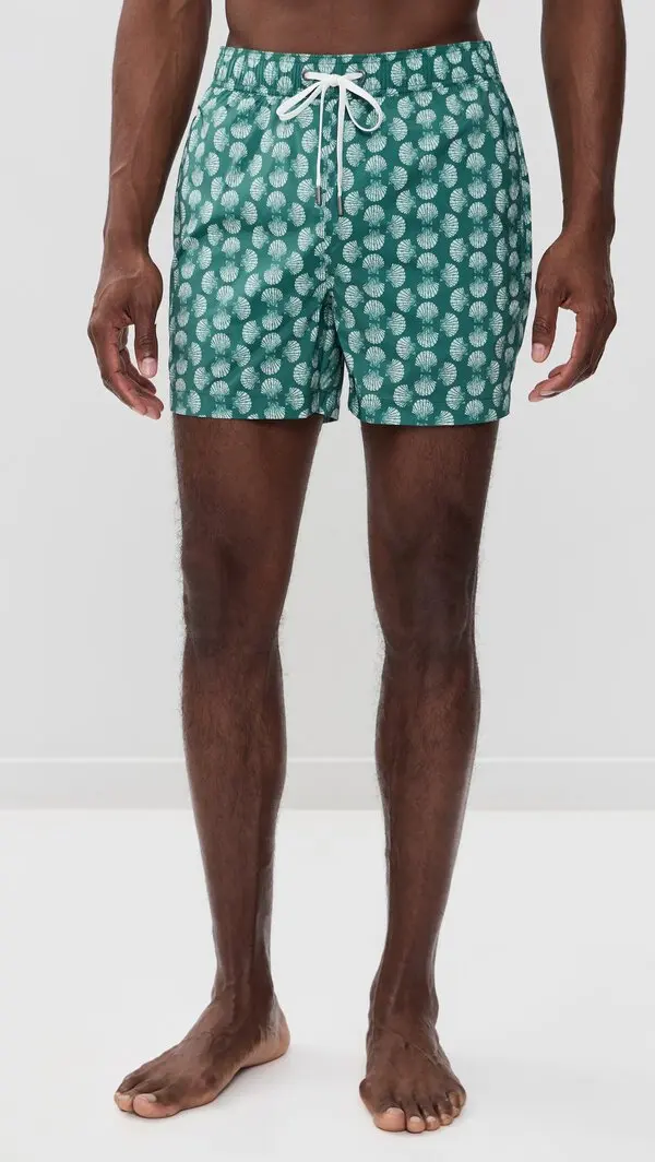 Onia Charles 5 Swim Trunks - Aloe Multi
