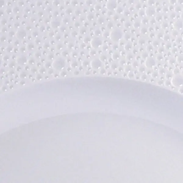 Bernardaud Ecume Service Plate