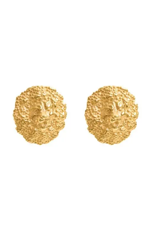 FREYA ROSE Lion Motif Stud Earrings - Gold