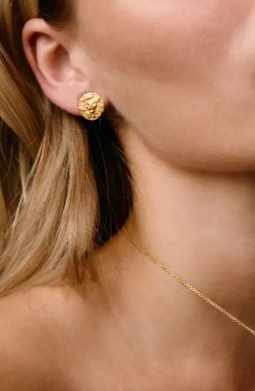 FREYA ROSE Lion Motif Stud Earrings