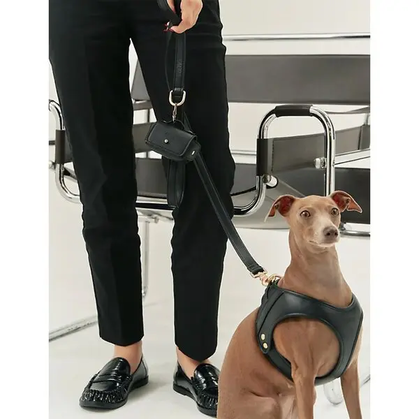 CAFIDE Jala Vegan-leather Dog Leash