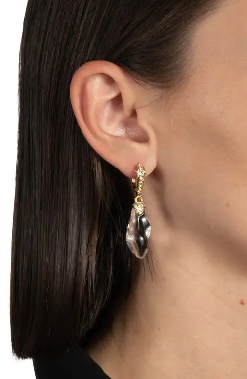 Alexis Bittar Liquid Lucite Drop Earrings