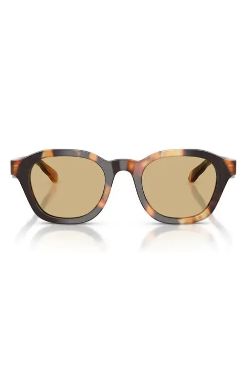 Tory Burch 48mm Phantos Sunglasses - Contrast Tortoise/yellow