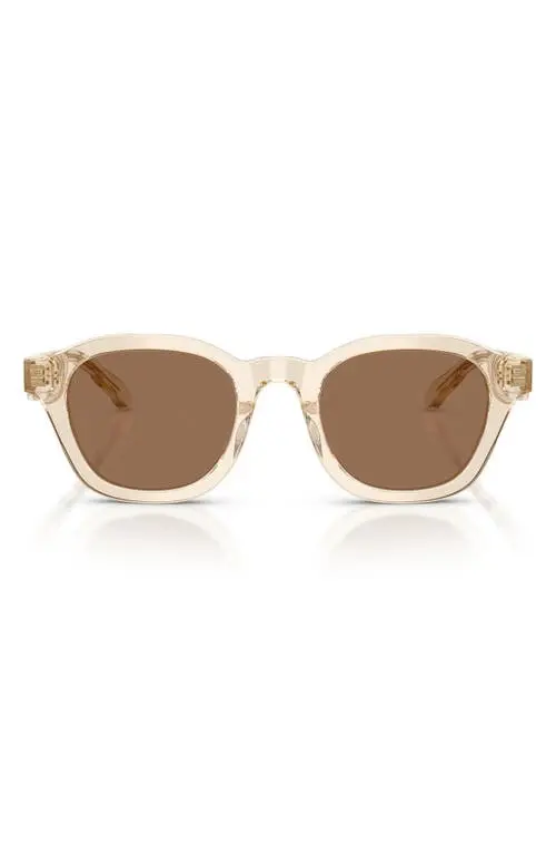 Tory Burch 48mm Phantos Sunglasses - Transparent Beige/brown