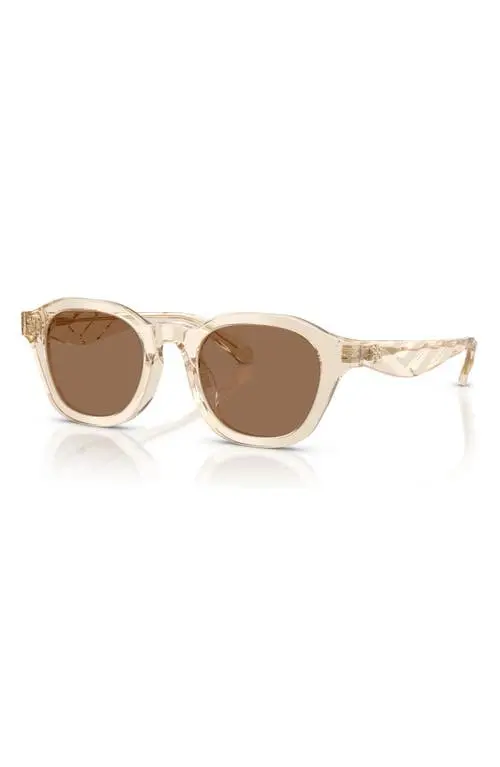 Tory Burch 48mm Phantos Sunglasses - Transparent Beige/brown