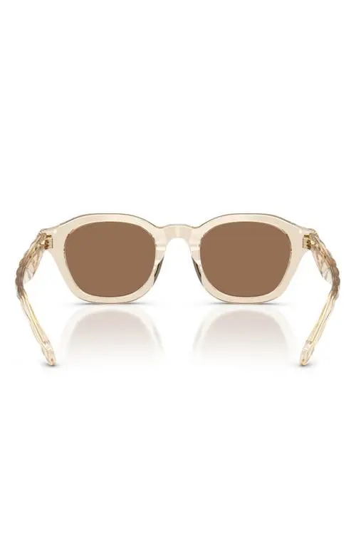 Tory Burch 48mm Phantos Sunglasses - Transparent Beige/brown