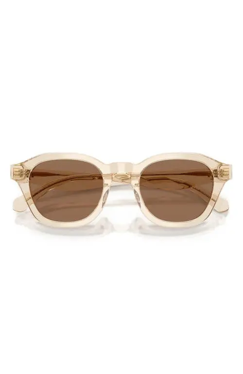 Tory Burch 48mm Phantos Sunglasses - Transparent Beige/brown