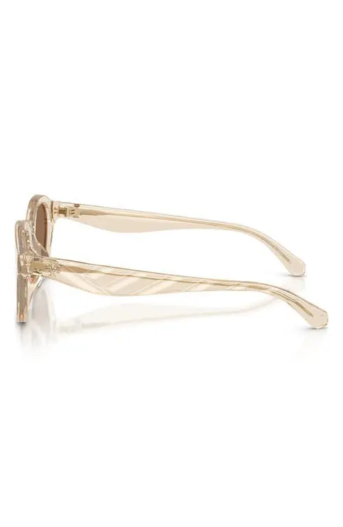 Tory Burch 48mm Phantos Sunglasses - Transparent Beige/brown