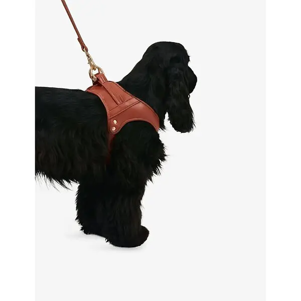 CAFIDE Vegan Leather Dog Harness