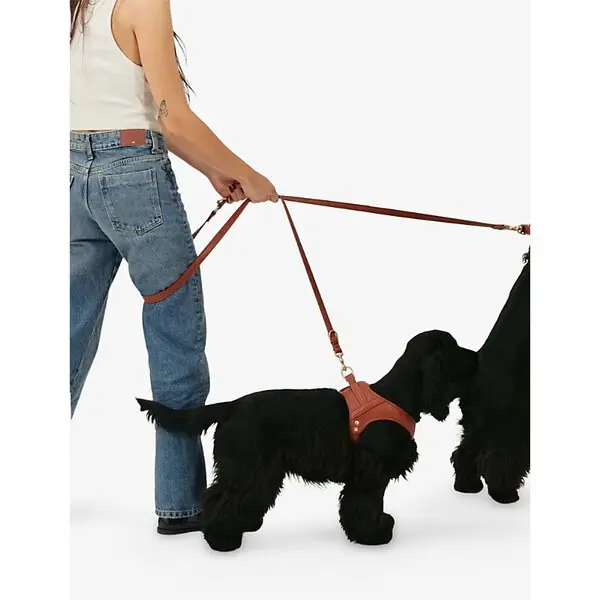 CAFIDE Vegan Leather Dog Harness