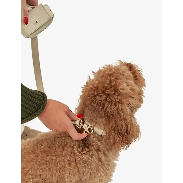 CAFIDE Jala Vegan-leather Dog Leash
