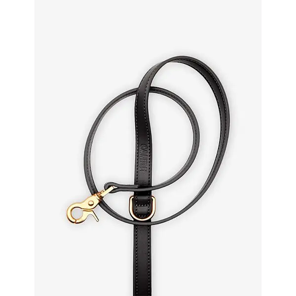CAFIDE Jala Multi-position Vegan-leather Dog Leash