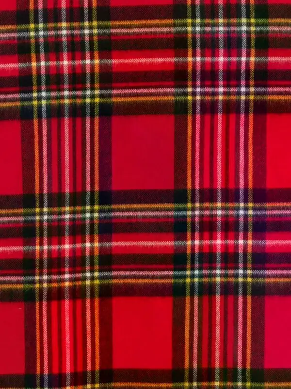 Barbour X Ganni Check Fringed Scarf