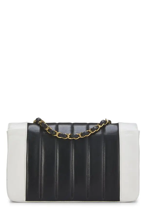 Chanel Vertical Lambskin Border Flap Bag