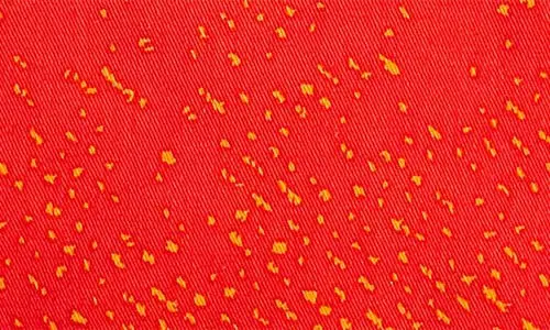THE NEIGHBORGOODS Tomato Potholder