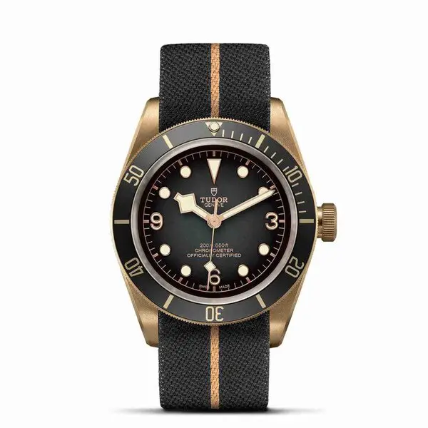 TUDOR Black Bay Watch - Bronze