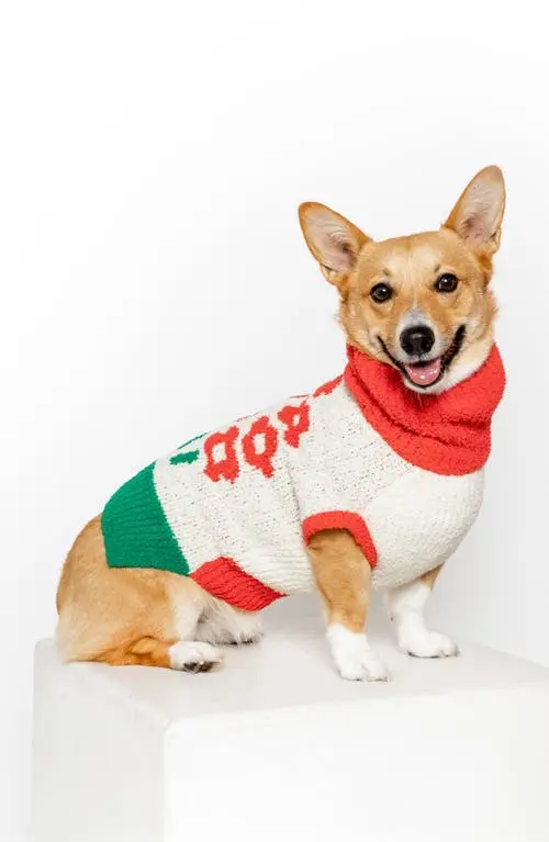 THE FURRYFOLKS Flower Turtleneck Pet Sweater