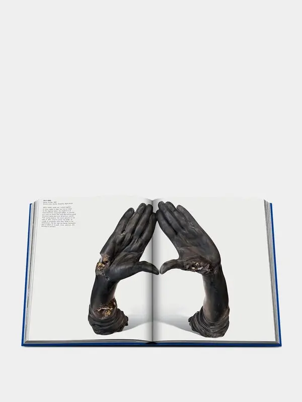 Assouline The Book Of Hov: A Tribute To Jay-z - Blue