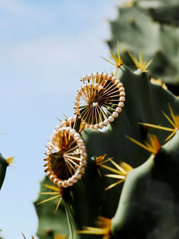 Rabanne Spiral Brass Earrings With Pearl Details - Gold