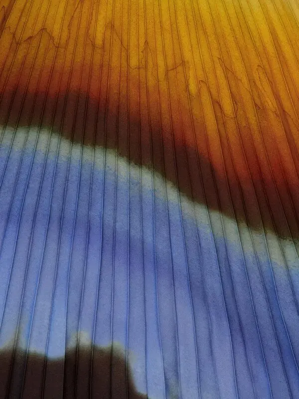 Altuzarra Kalymnos Shibori-print Maxi Dress - Multicolour