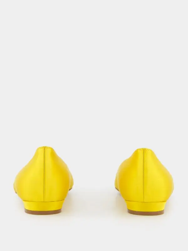 Manolo Blahnik Hangisiflat Ballerinas