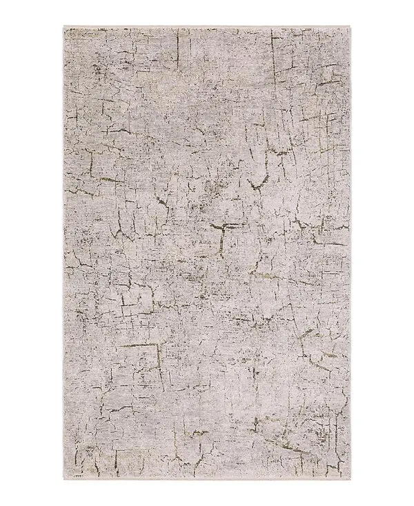 ORIENTAL WEAVERS Branigan Brg05 3'0 X 5'0 Area Rug - Beige