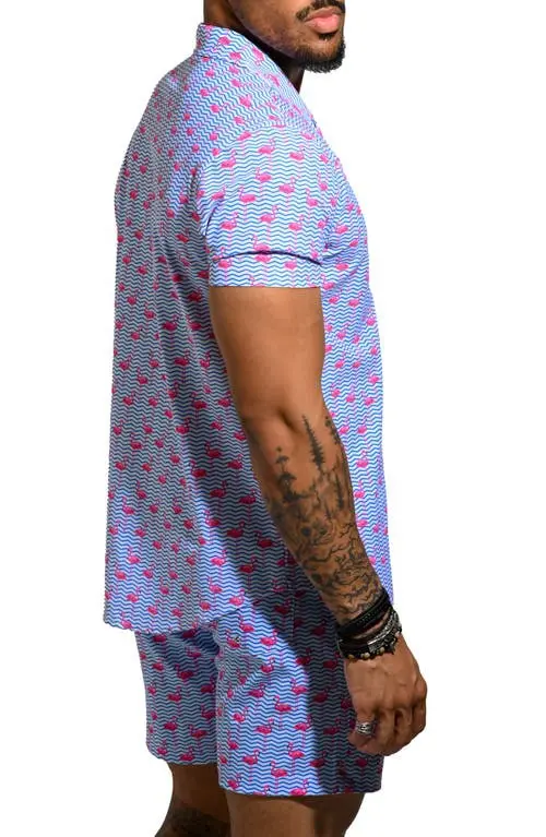 MACEOO Beachflamingo Cotton Camp Shirt