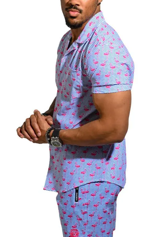 MACEOO Beachflamingo Cotton Camp Shirt