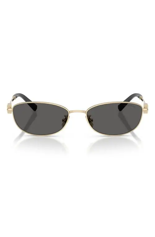 Tiffany & Co. 56mm Oval Sunglasses - Pale Gold/dark Grey