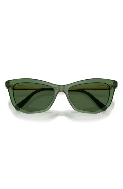SWAROVSKI 56mm Cat Eye Sunglasses - Transparent Green/dark Green