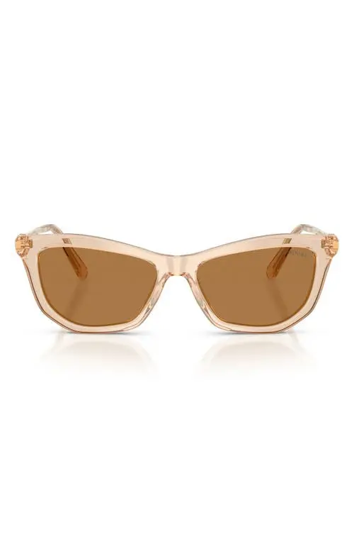 SWAROVSKI 56mm Cat-eye Sunglasses - Transparent Beige/bronze