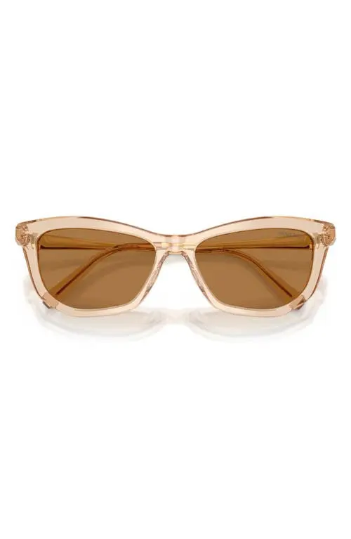 SWAROVSKI 56mm Cat-eye Sunglasses - Transparent Beige/bronze