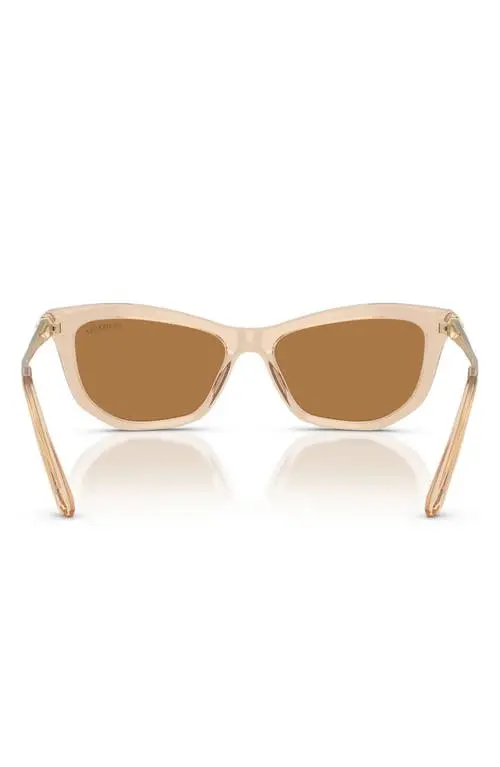 SWAROVSKI 56mm Cat-eye Sunglasses - Transparent Beige/bronze